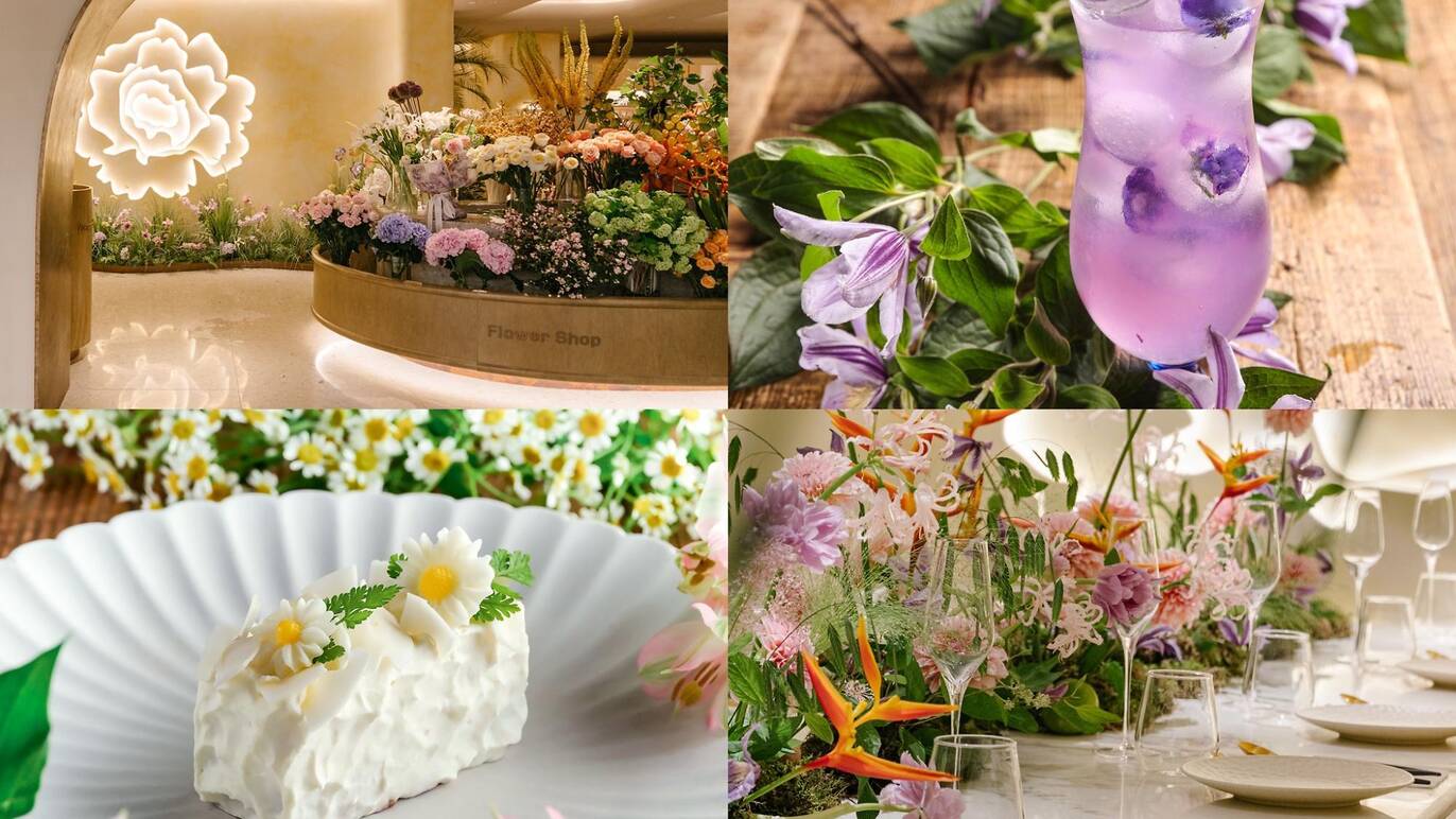 Tomacado: Famous Florist-Restaurant from China Opens First Singapore Outlet
