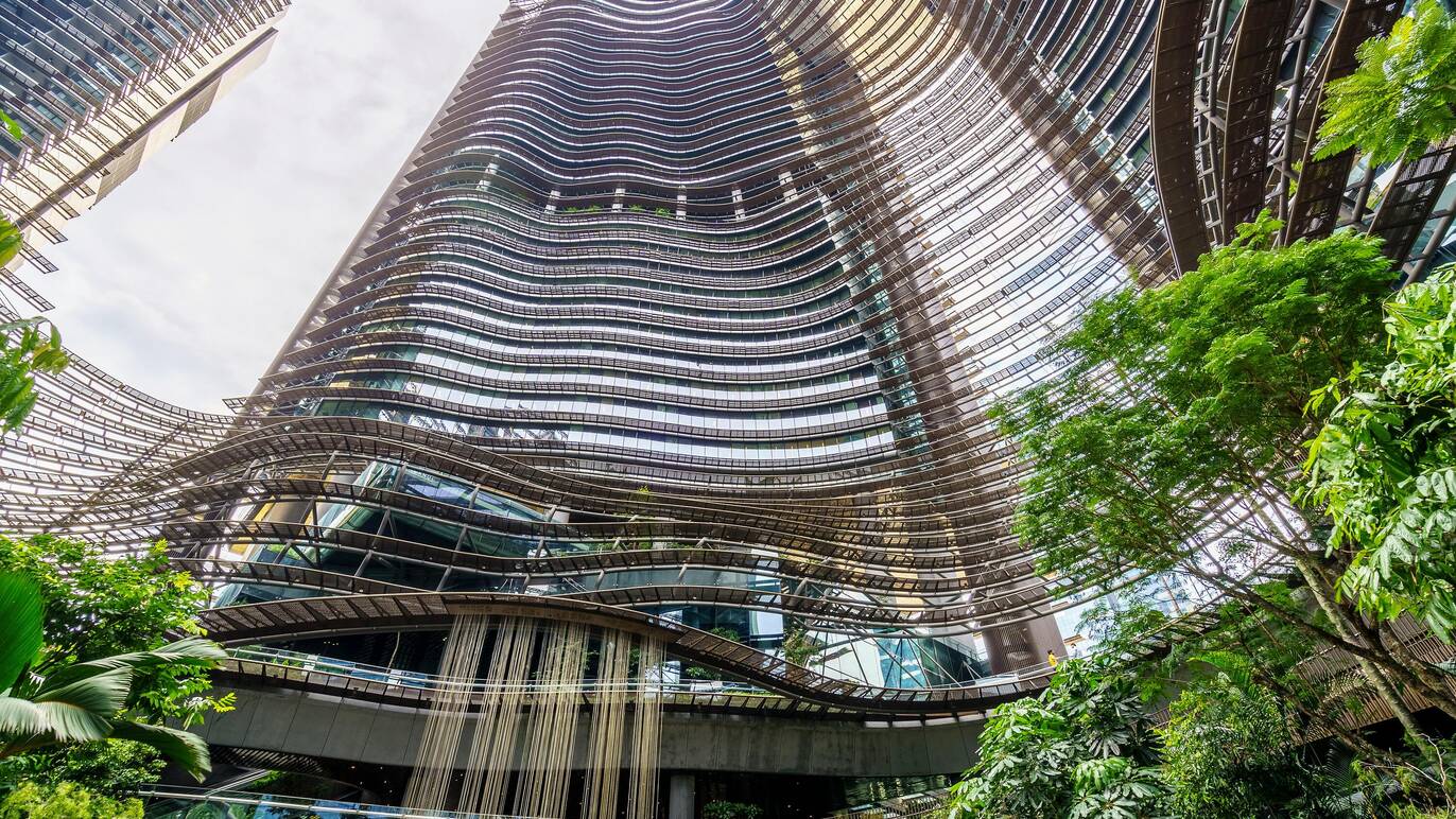 Marine One's "Green Heart": Mini Rainforest Hiding in the Heart of ...