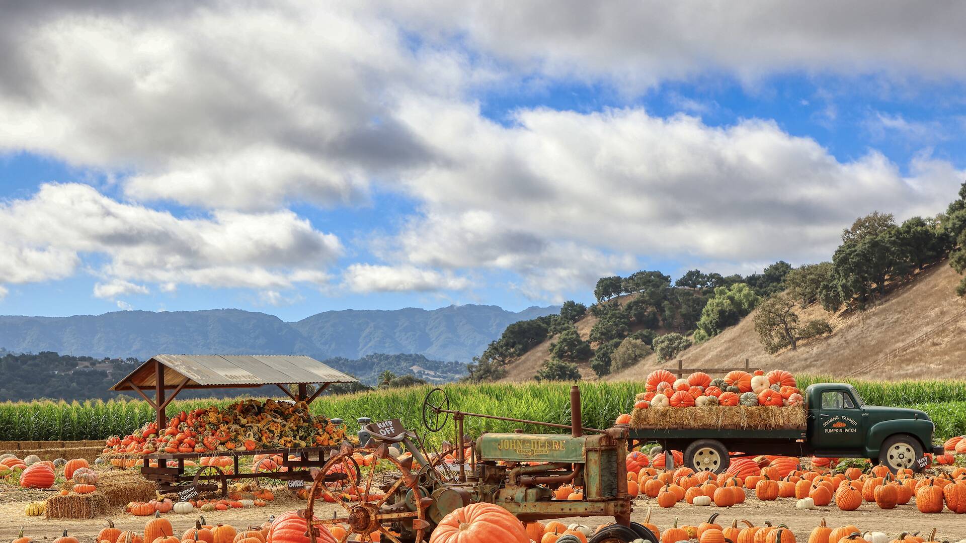 Solvang Farmer Pumpkin Patch | Attractions in Santa Barbara, Los Angeles