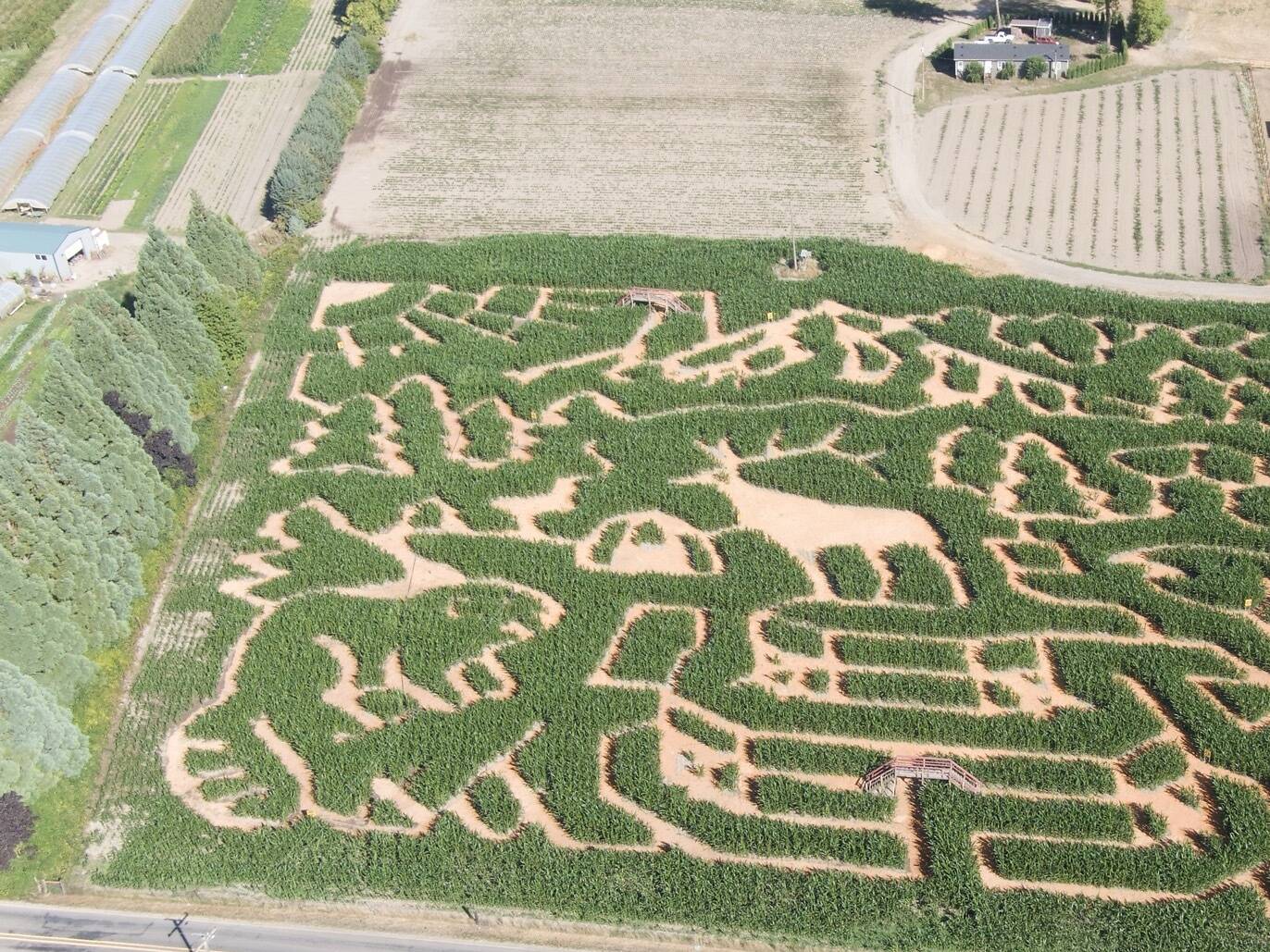 14 Biggest and Best Corn Mazes in America