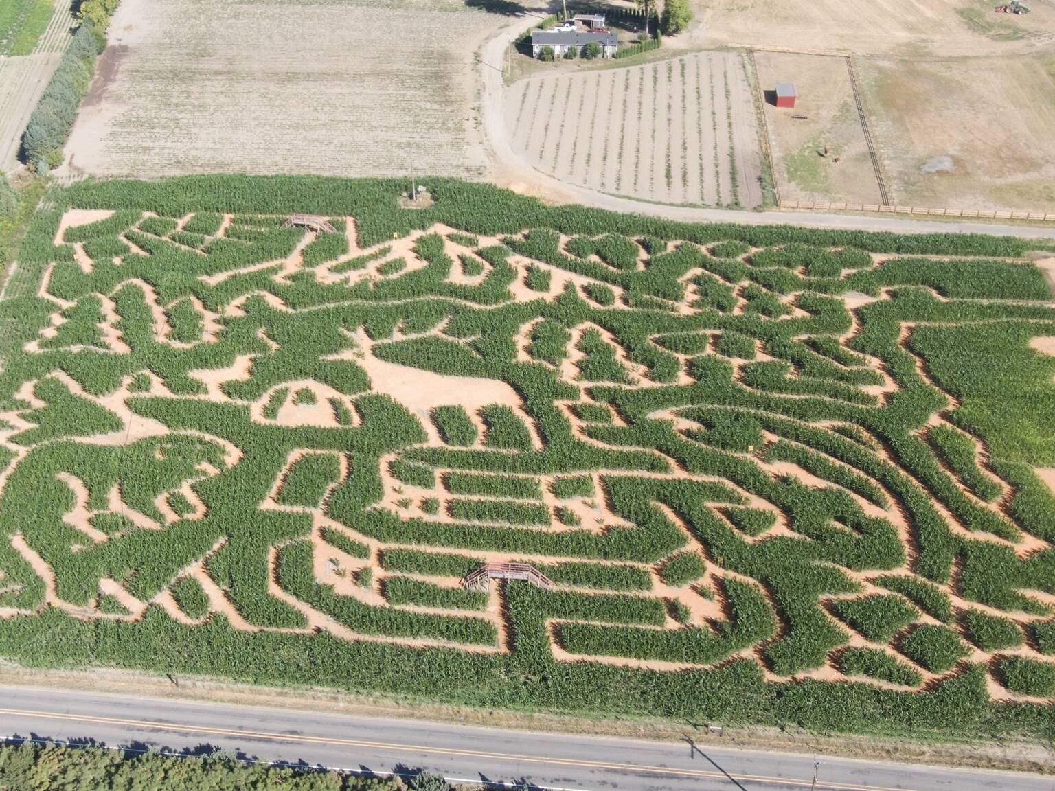 14 Biggest and Best Corn Mazes in America