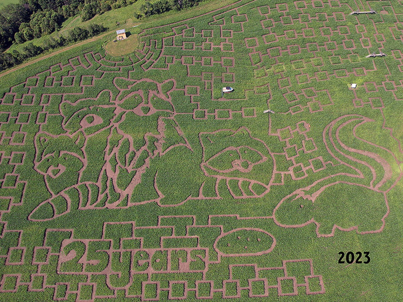 14 Biggest and Best Corn Mazes in America