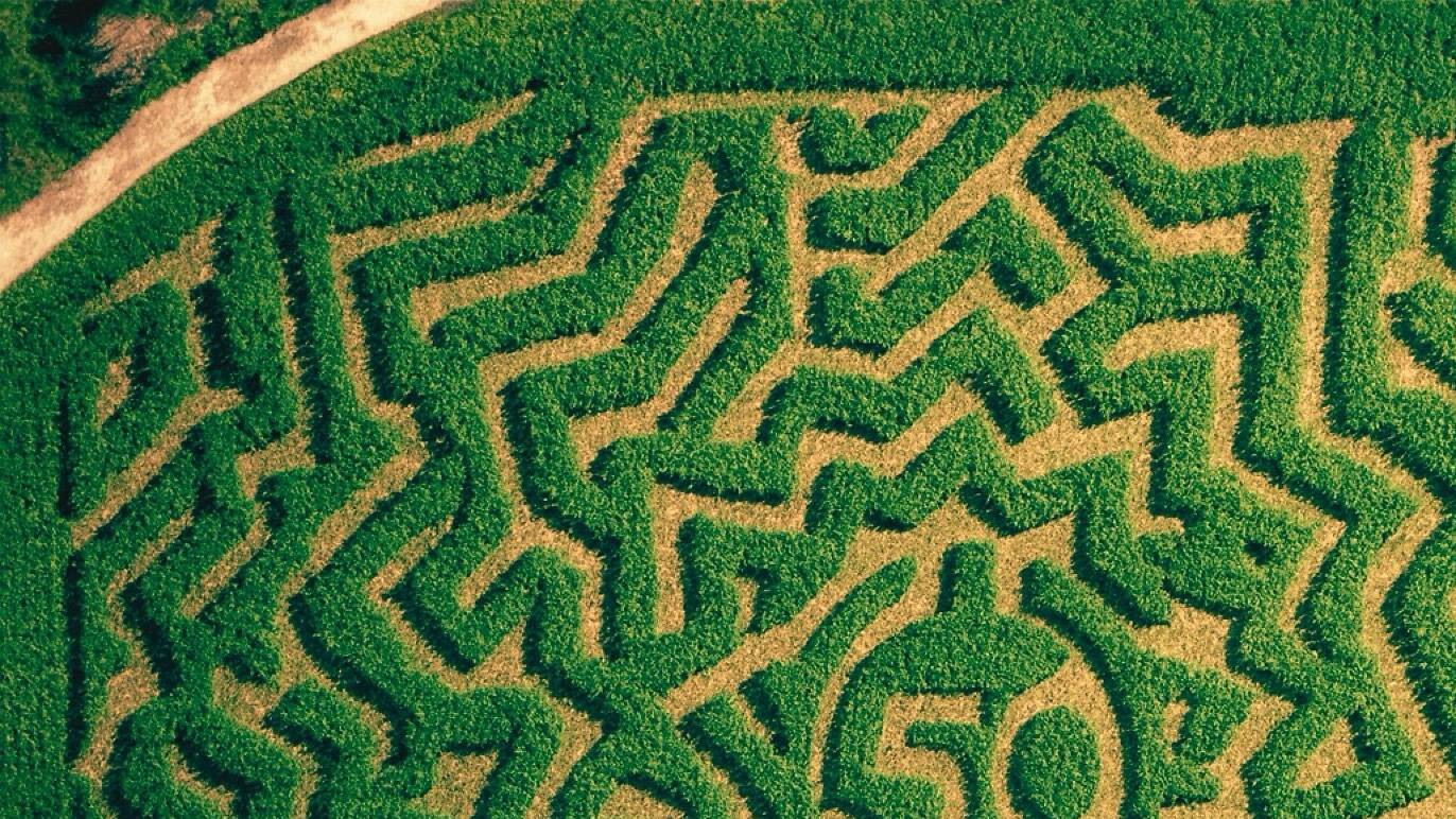 14 Biggest and Best Corn Mazes in America