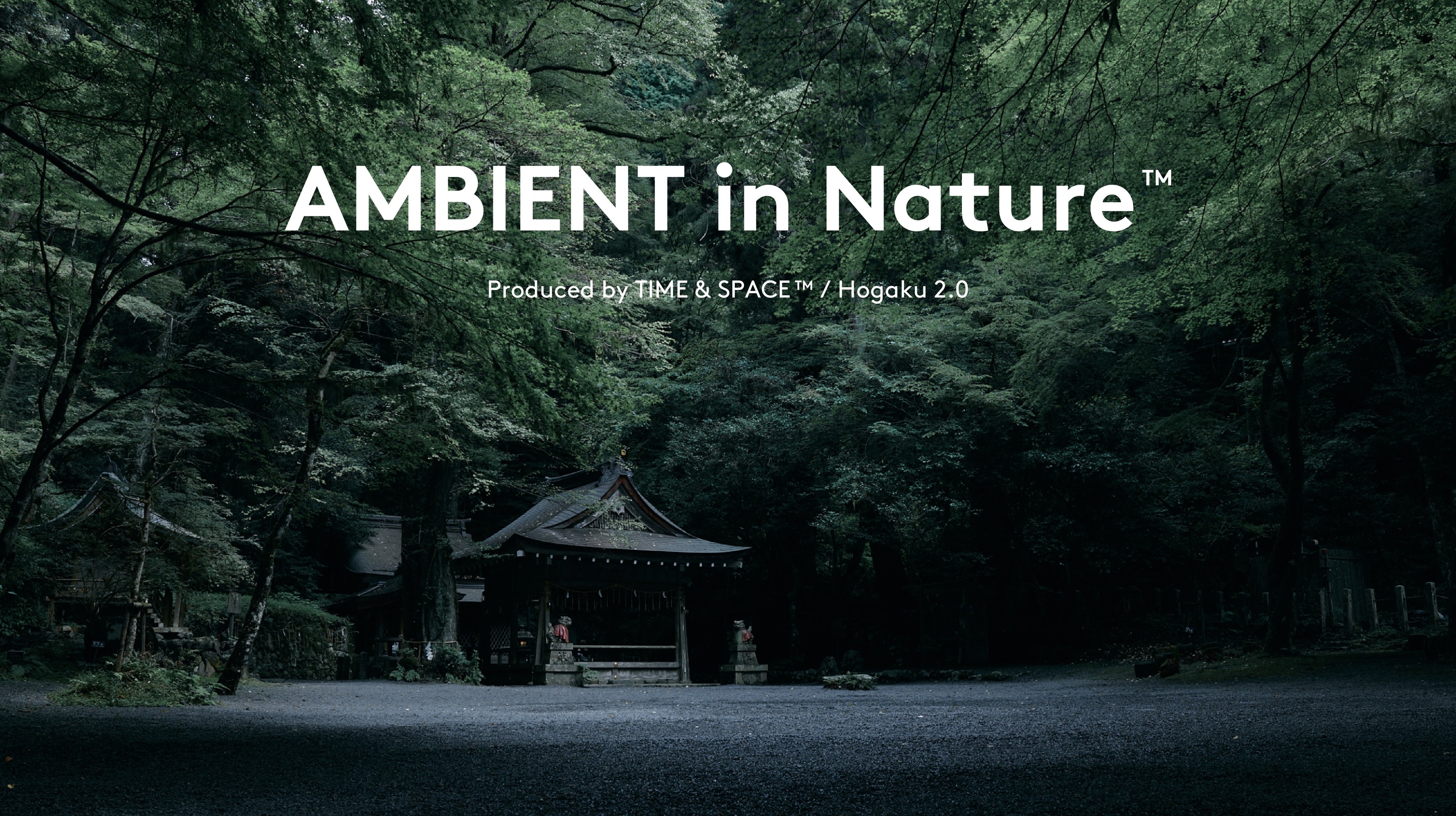 Ambient in Nature at Kifune Shrine | Music in Osaka