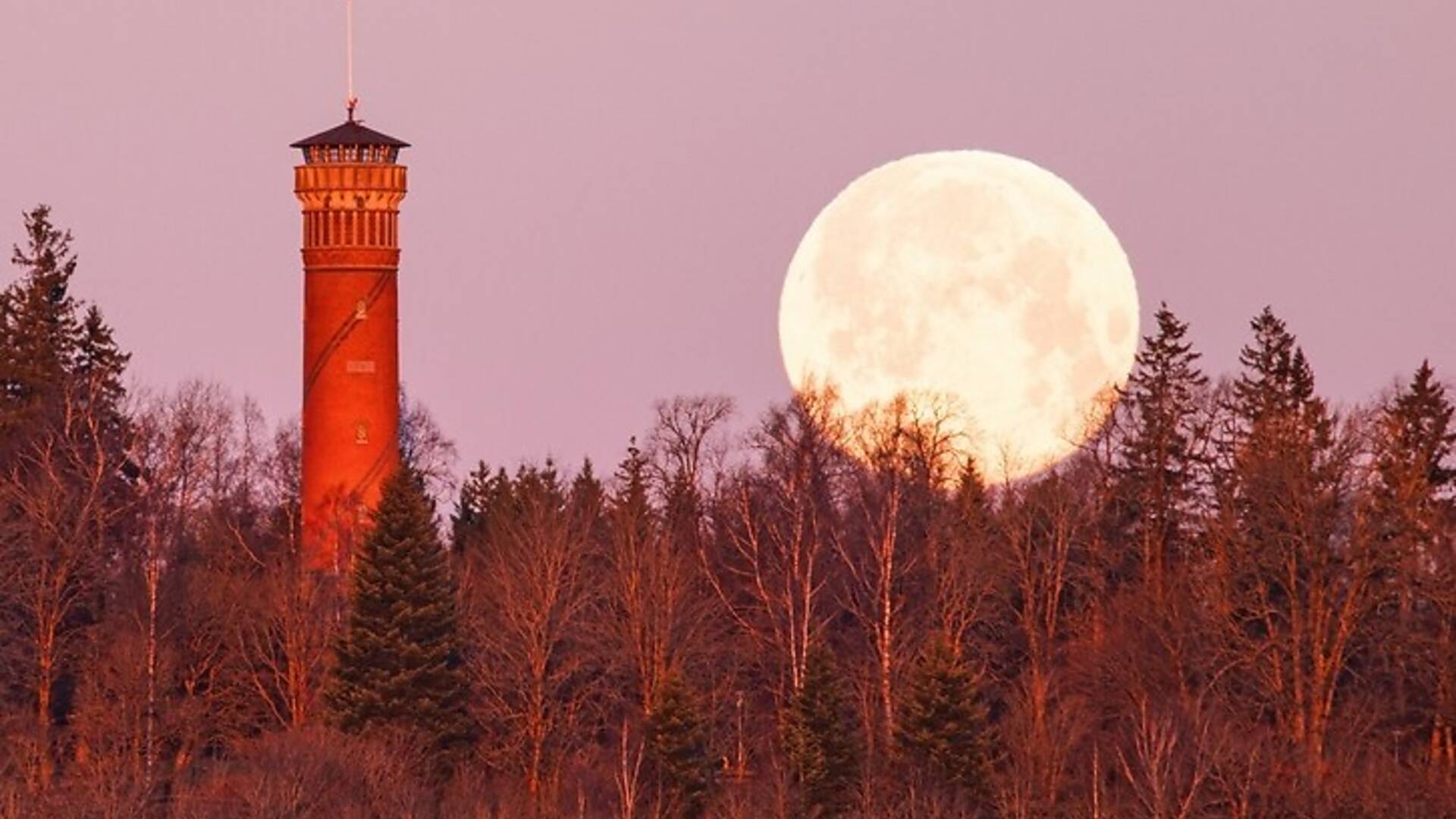 The First Supermoon of 2025 Will Be Visible in the UK Tonight: How and ...