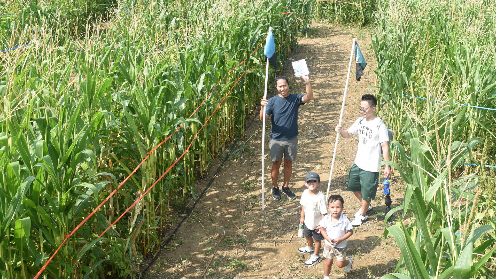The Amazing Maize Maze at Queens County Farm Museum: Time, date, prices ...