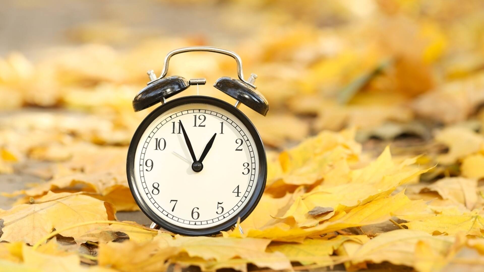 When is daylight saving time and do I move the clock forward or back?