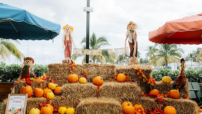 Howl-O-Ween at Regatta Grove | Things to do in Miami