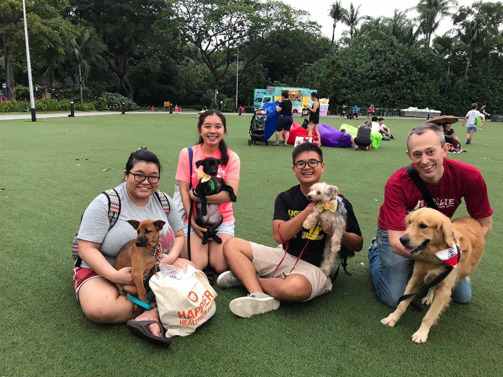 SOSD Adoption Drive In October 2025