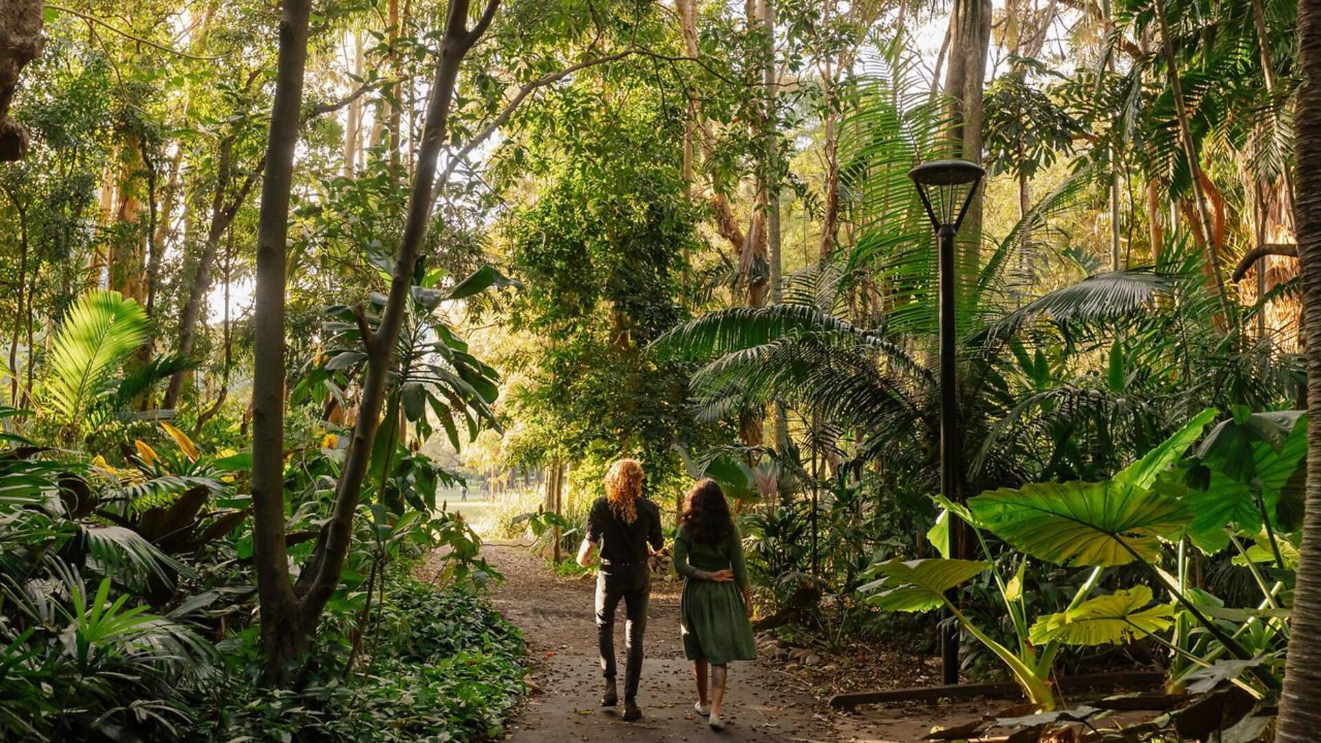 The 10 Best Parks in Brisbane