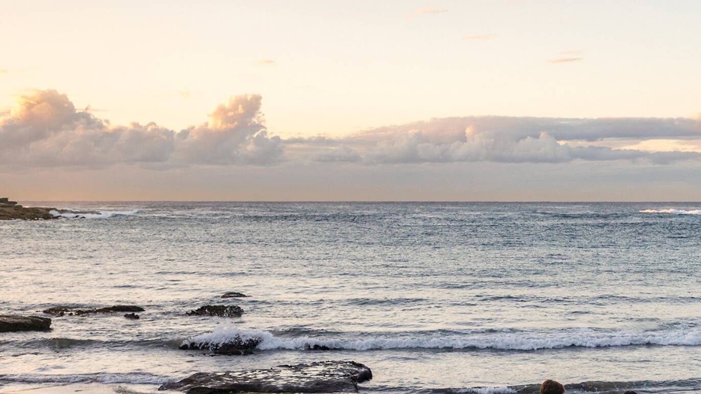 Just in: Sydney’s cleanest beaches have been revealed