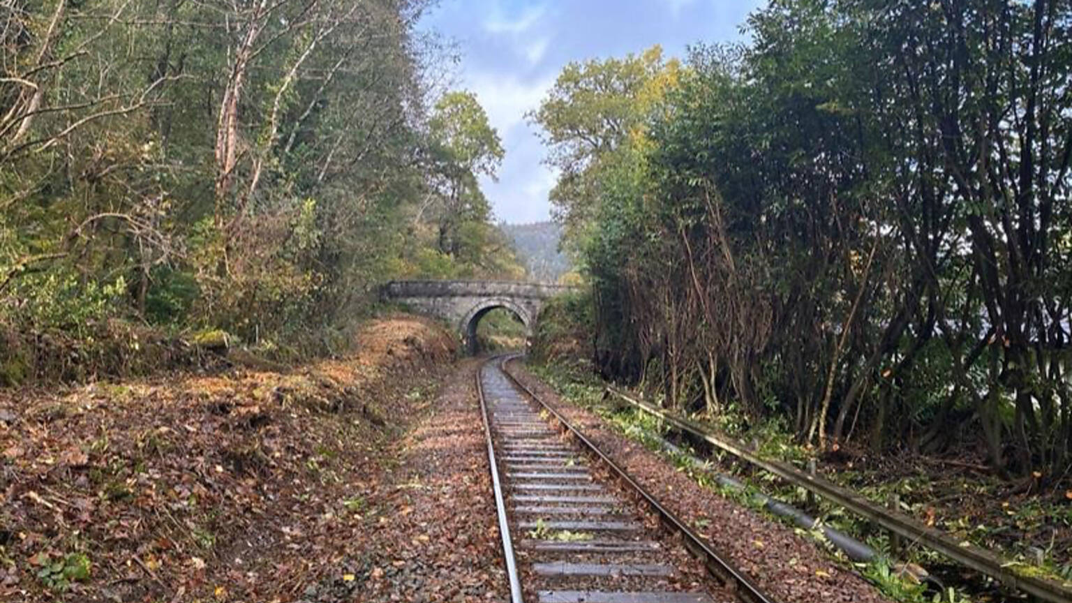 Conwy Valley Line: The ‘Most Picturesque’ Scenic Rail Route in Britain ...