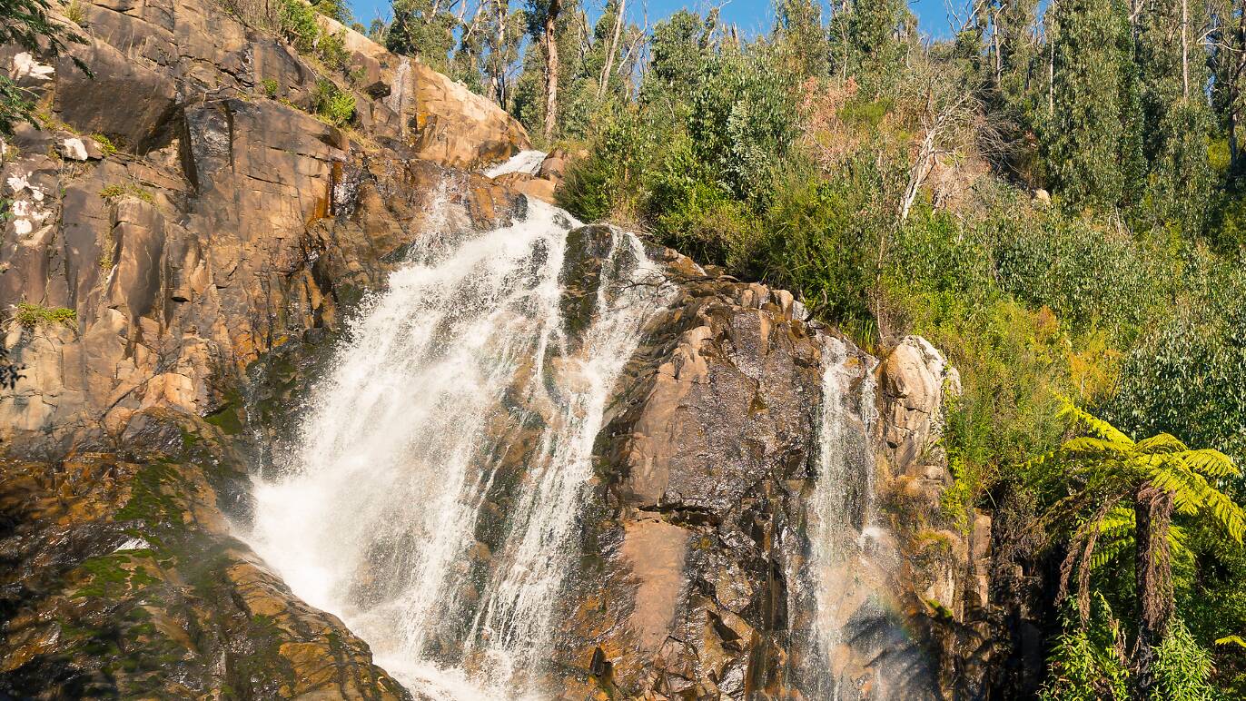 This stunning hike passes one of Victoria's tallest waterfalls