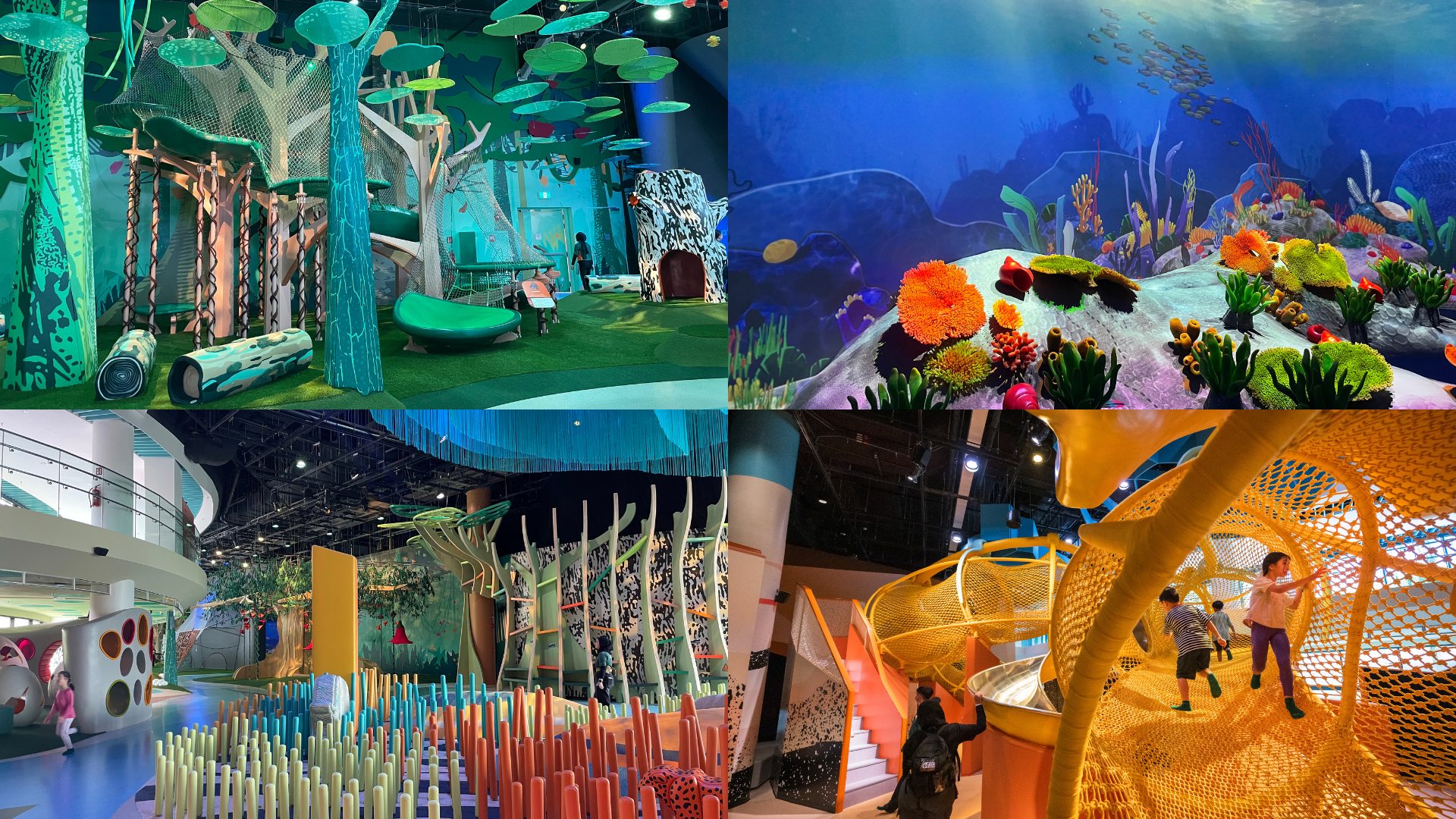 We Explored Curiosity Cove, Singapore’s Biggest Nature-Inspired Indoor ...