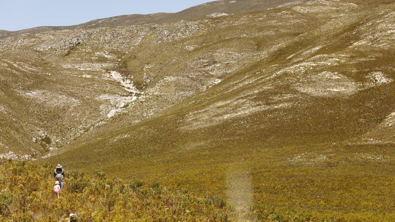 Western Cape gets a new nature reserve