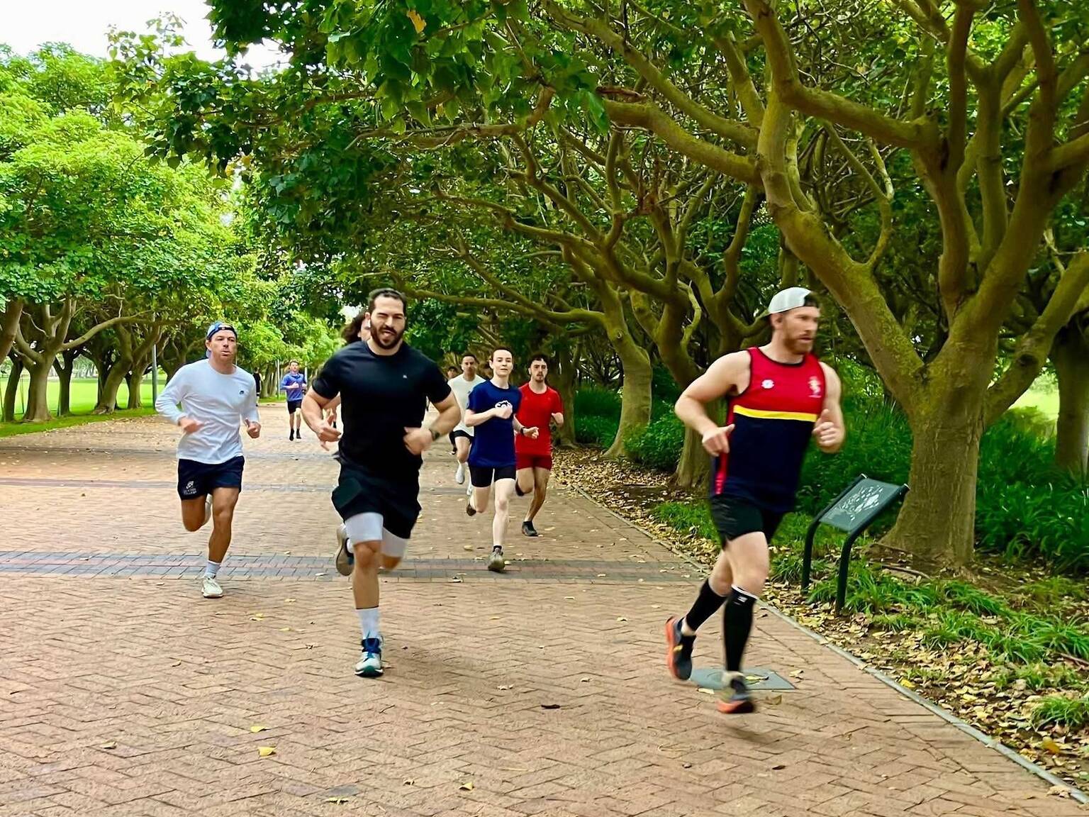 Cape Town parkrun: the complete guide