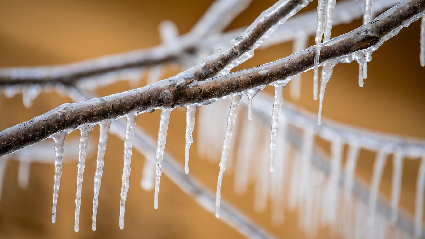 Montreal Freezing Rain Alert: Up To 5 Mm Of Ice Expected Before ...