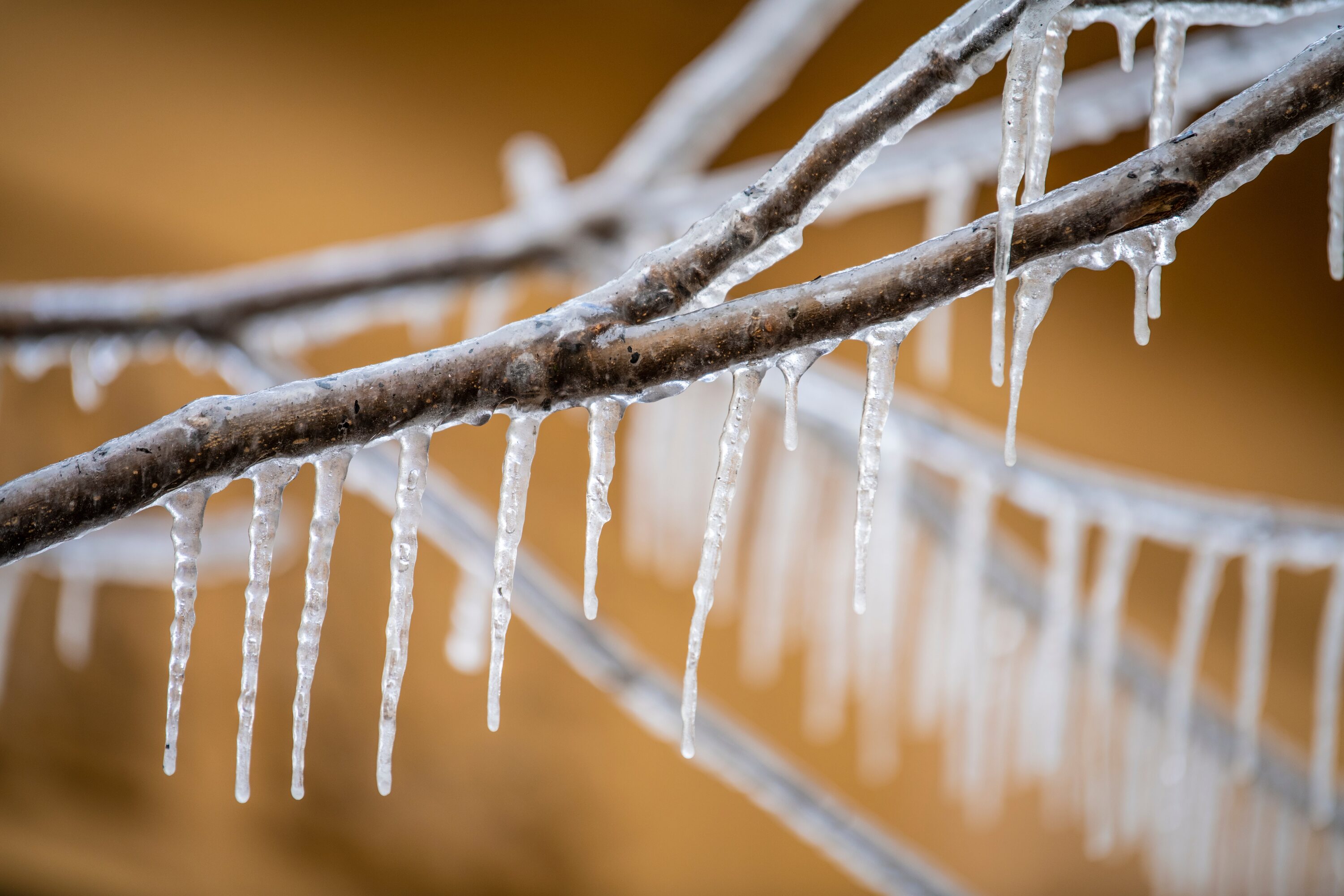Montreal Freezing Rain Alert: Up To 5 Mm Of Ice Expected Before ...