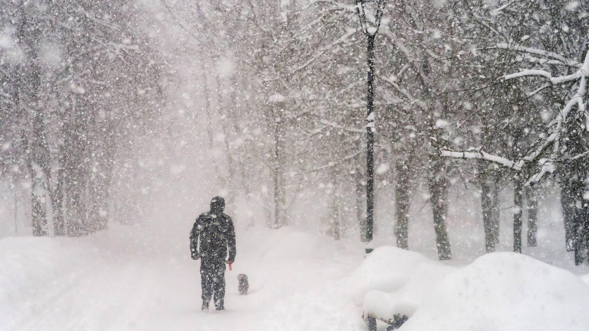 Massive Winter Storm Slams Canada Bringing 40 CM Snow, Rain and Chaos ...