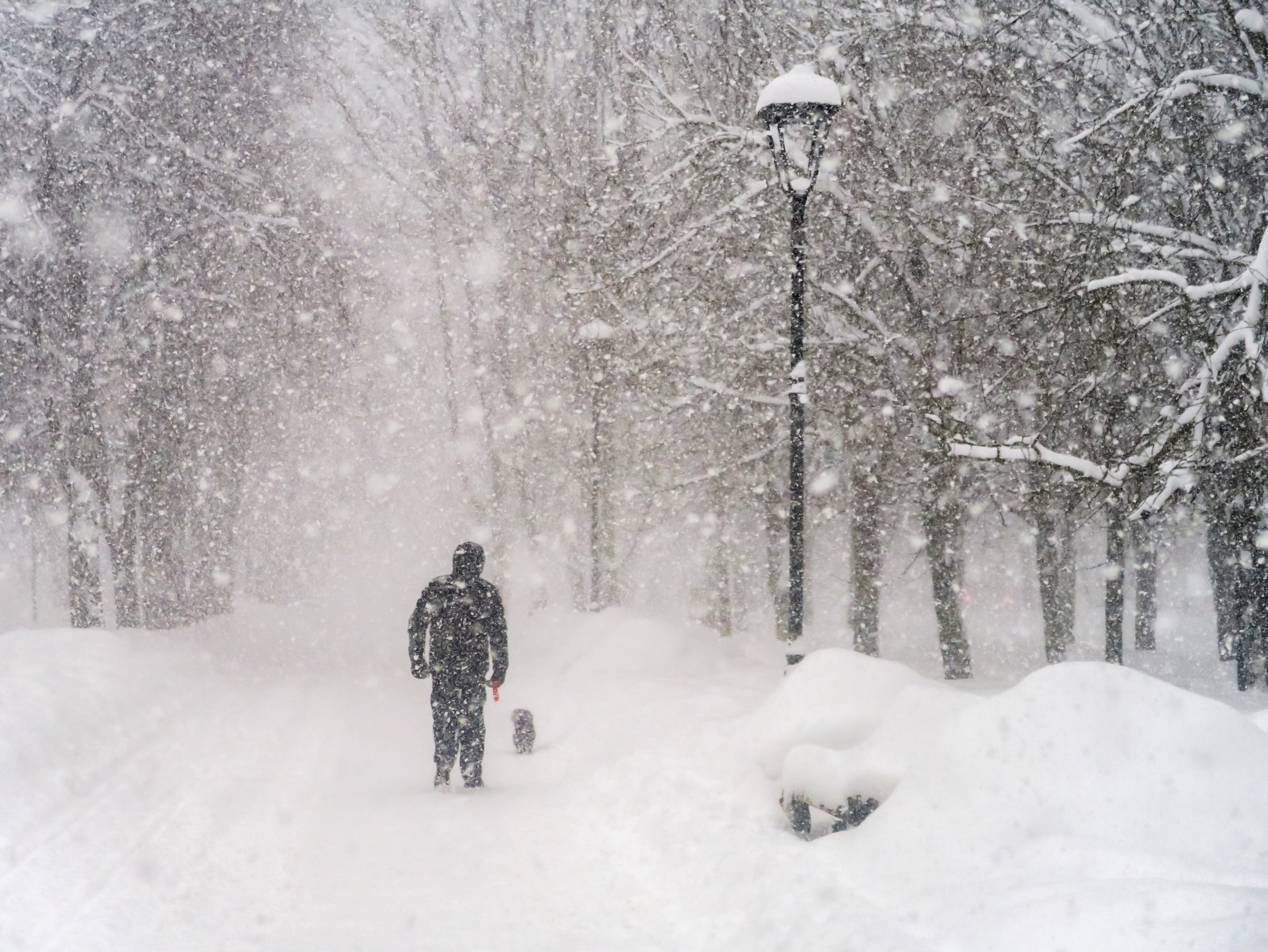 Massive Winter Storm Slams Canada Bringing 40 CM Snow, Rain and Chaos ...