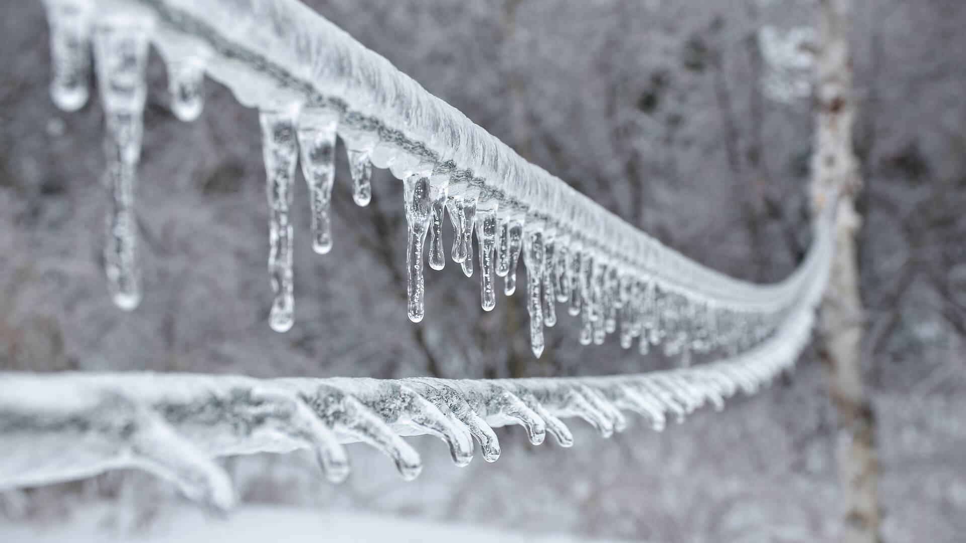 Bokep indo memek pink