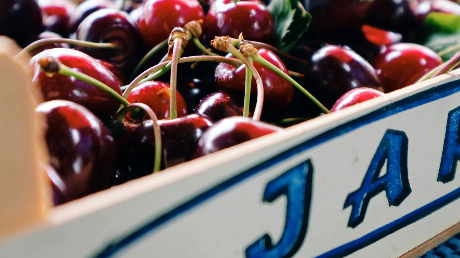 These are the seven best cherry picking spots in NSW