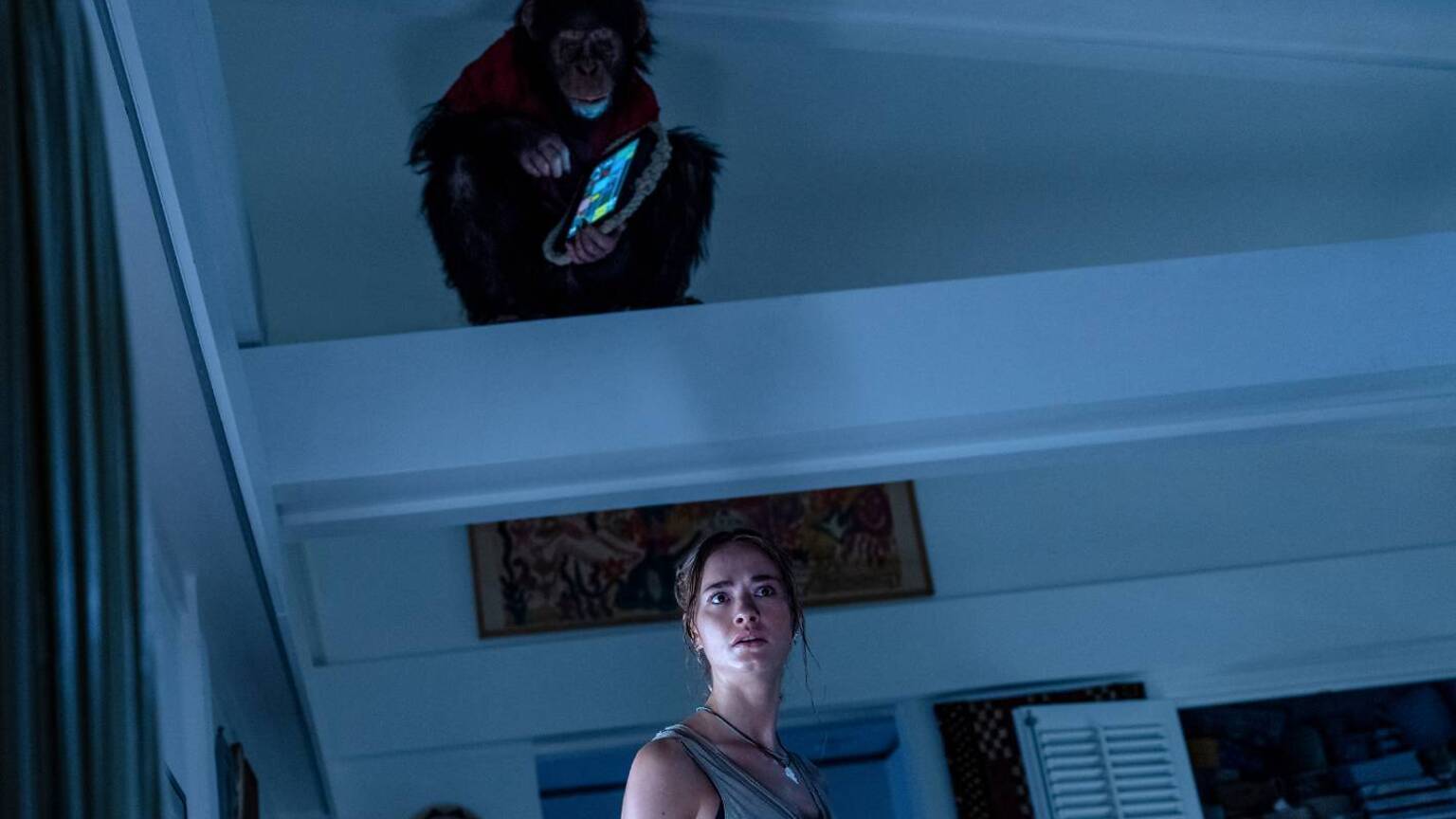 ‘Primate’ review: this chimpanzee horror flick is just the right kind ...