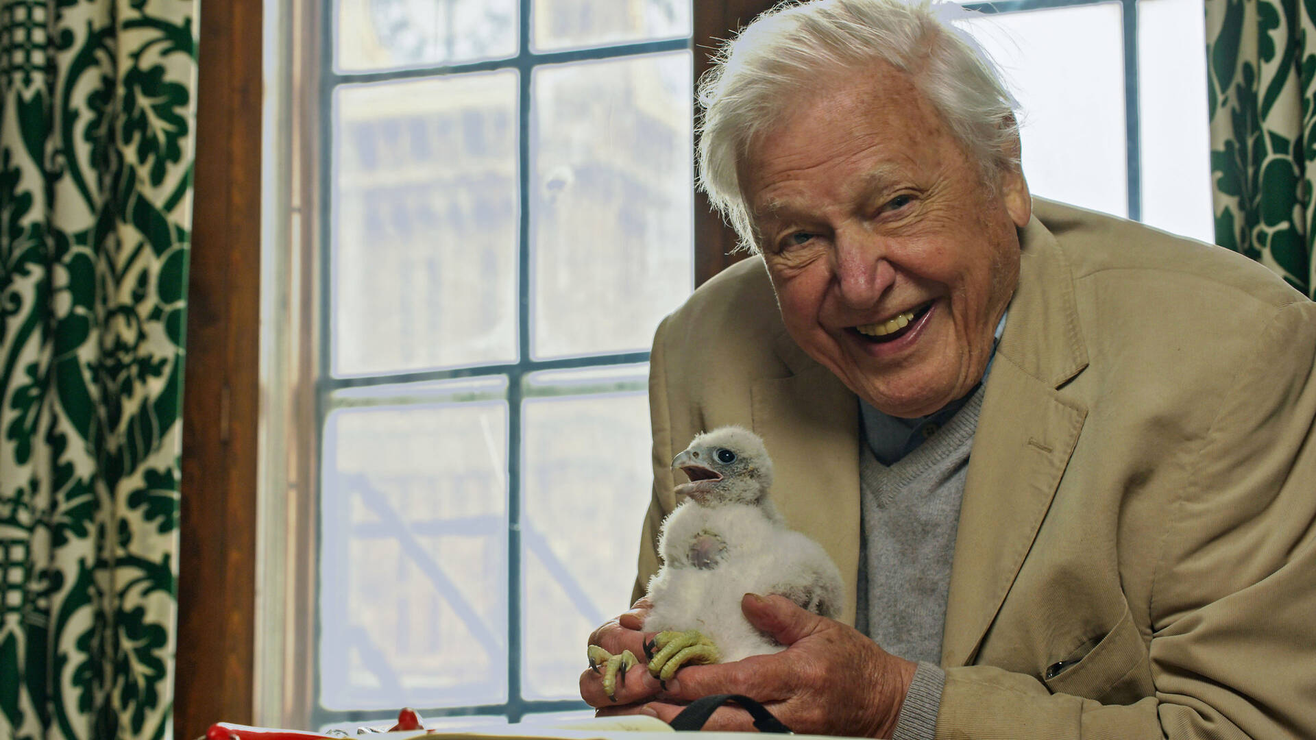 ‘Wild London’: 5 Things We Learned From David Attenborough’s New Nature Doc