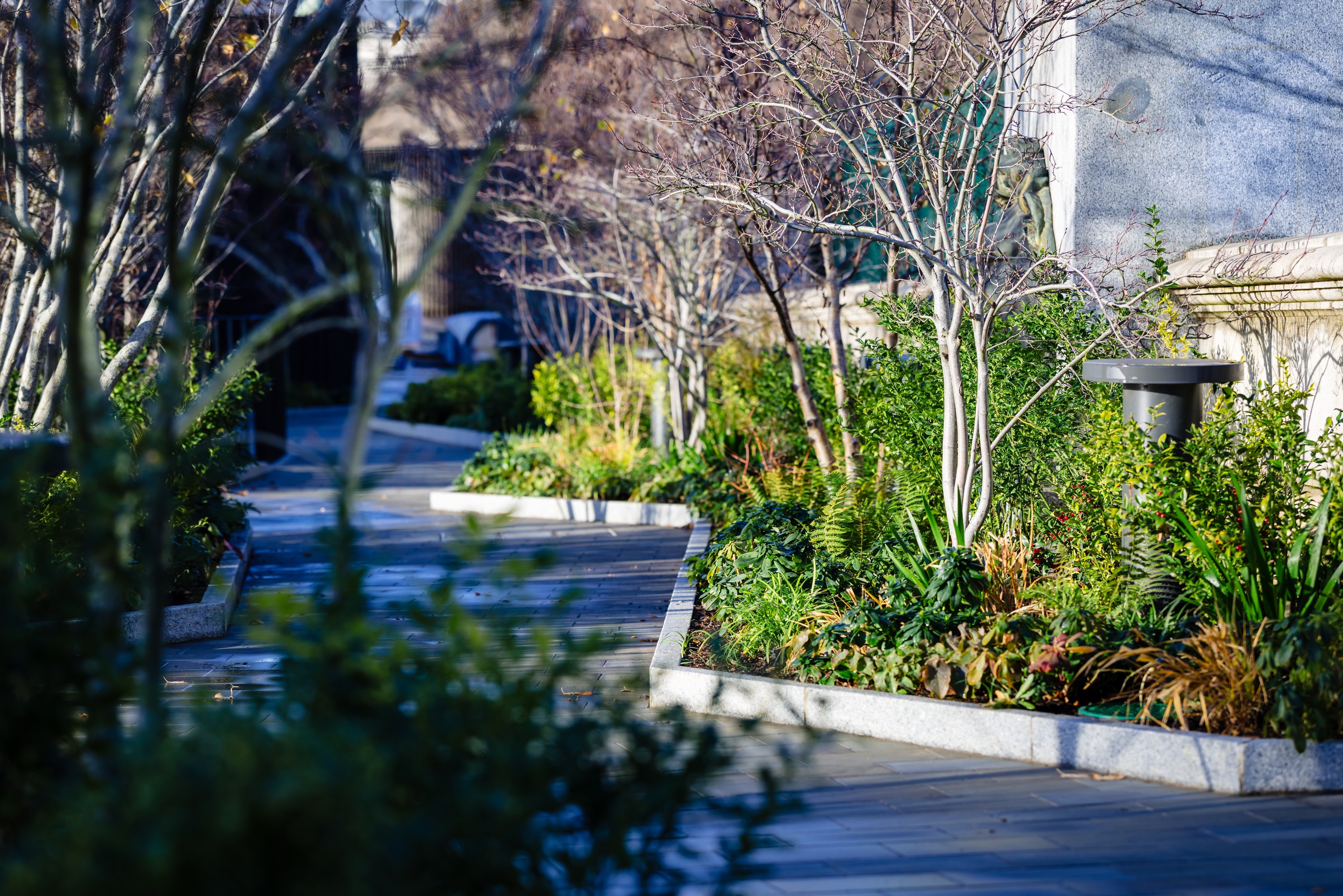 A new embankment on the Thames in central London is now open to the public