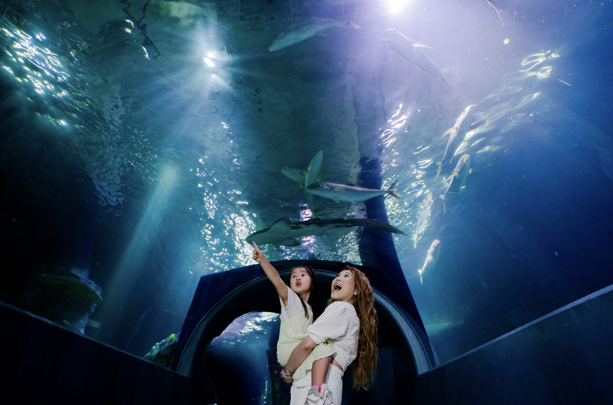 Score 50 per cent off kids tix to Sea Life Melbourne Aquarium these ...