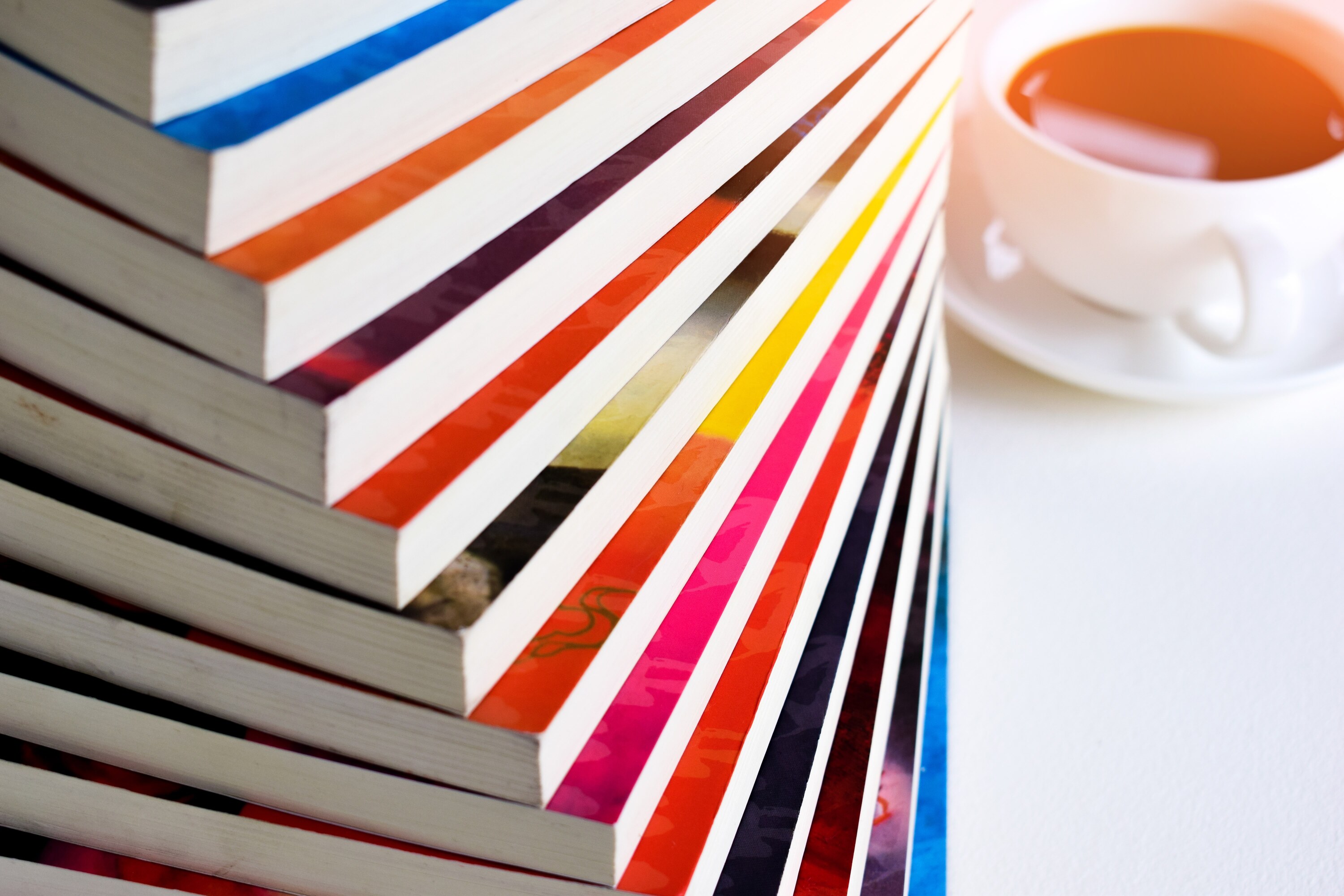 The 6 Best Books For 2026, According To This Montreal Independent Bookstore