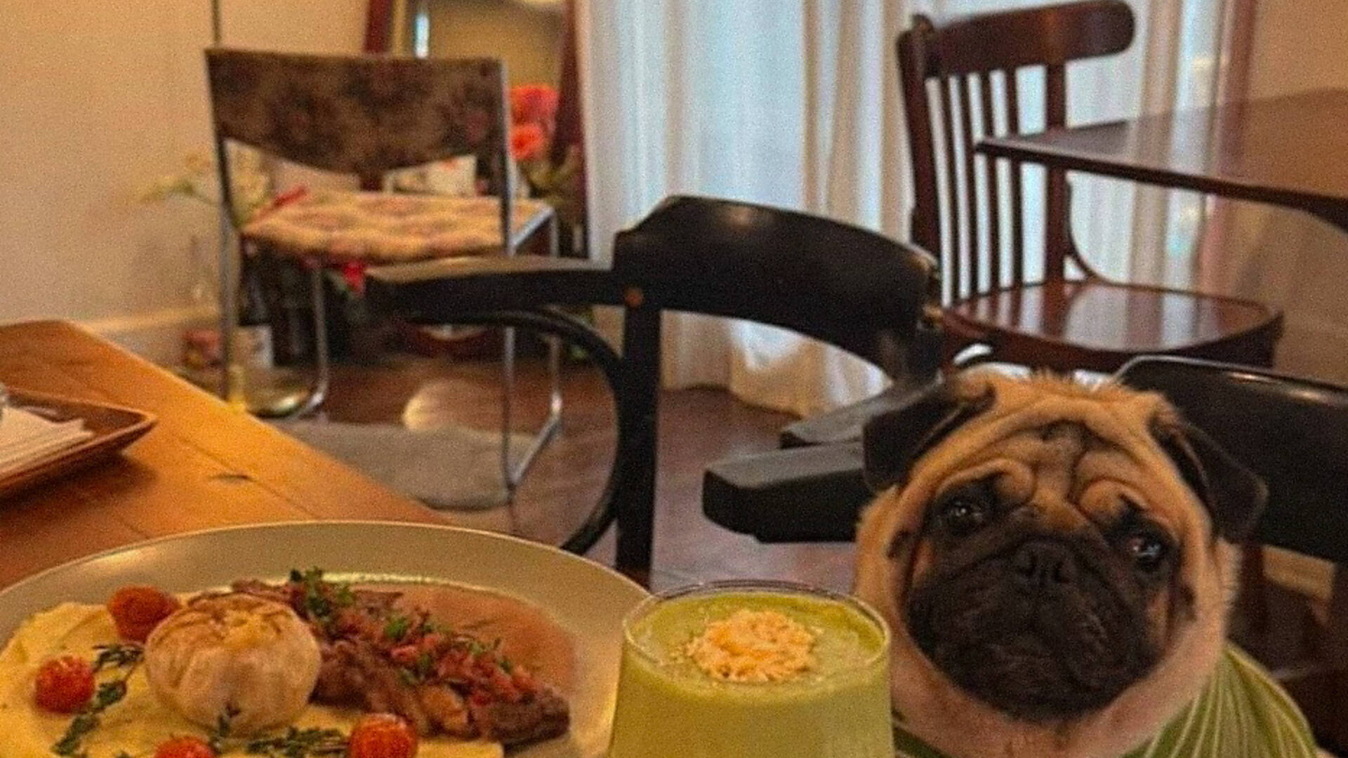 Knock Knock Cafe & Bar | Restaurants in อารีย์, กรุงเทพมหานคร