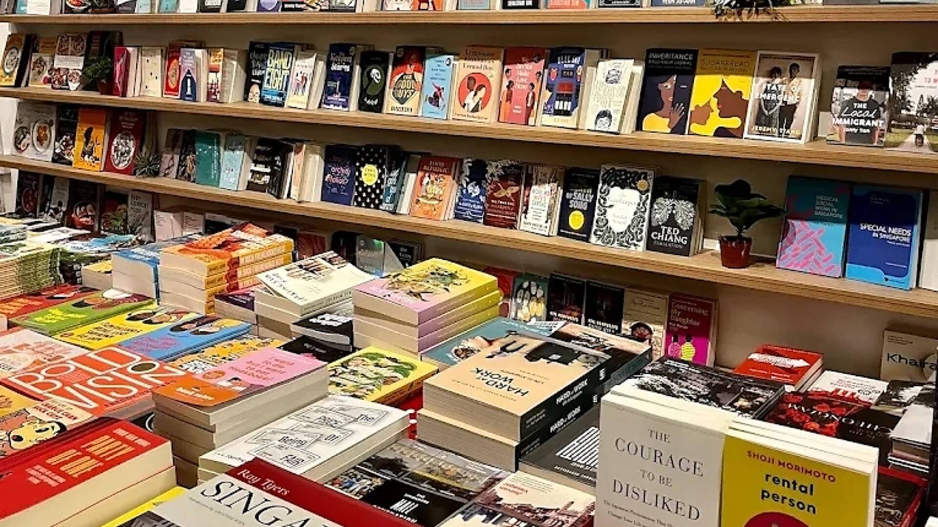 SG Culture Pass: Purchase SingLit Books with Credits from March 2026