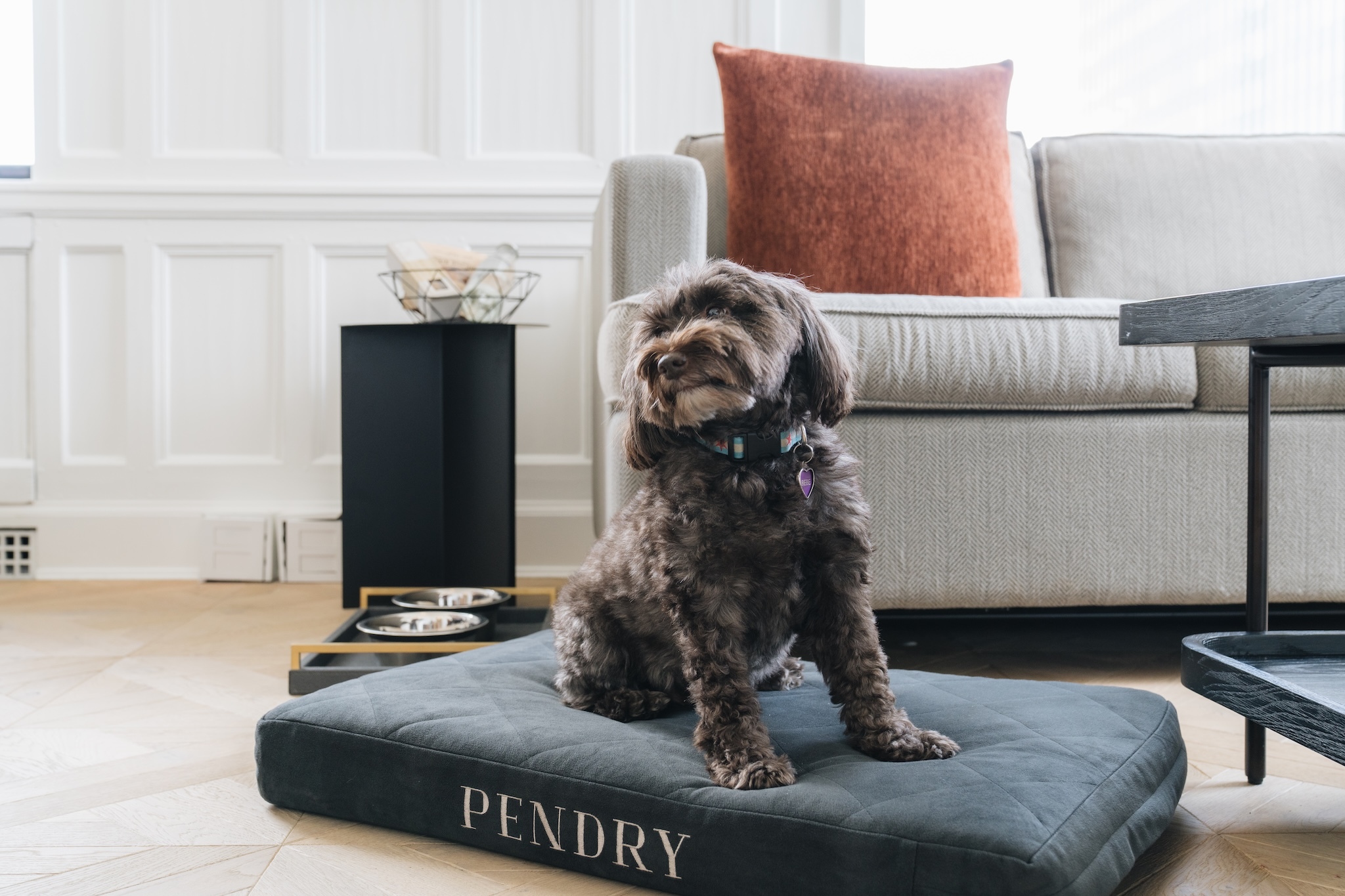 Puppies & Pilates | Sports and fitness in Chicago