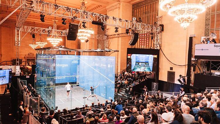 Tournament of Champions | Things to do in New York
