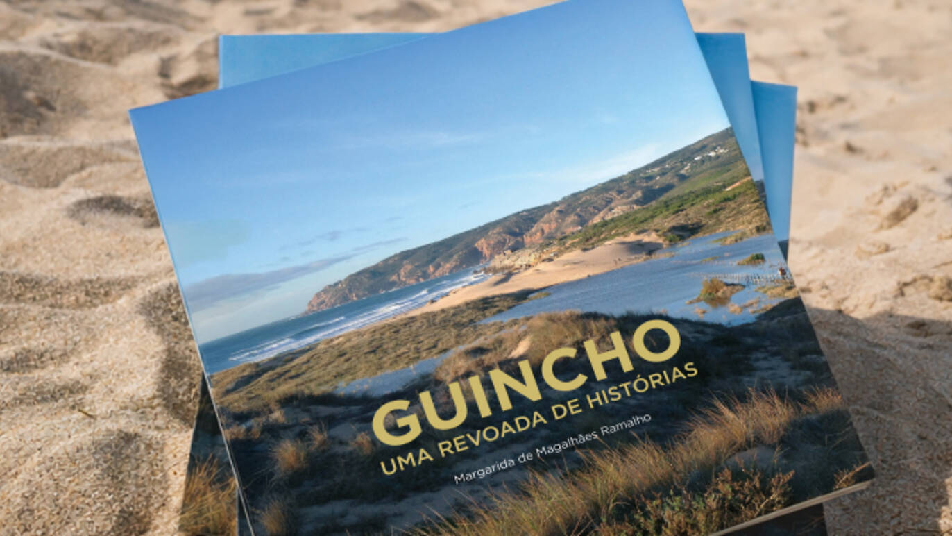 Guincho: Uma revoada de Histórias | Centro Cultural de Cascais | Coisas ...