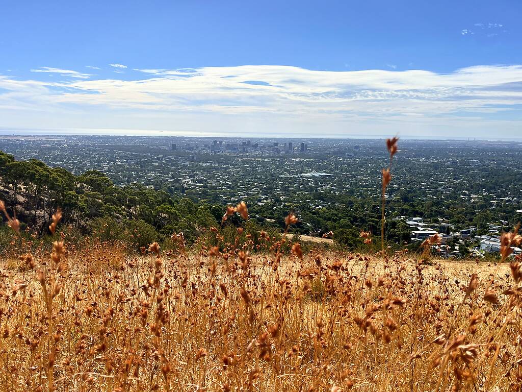 The 20 Best Things To Do In Adelaide Right Now [2026]