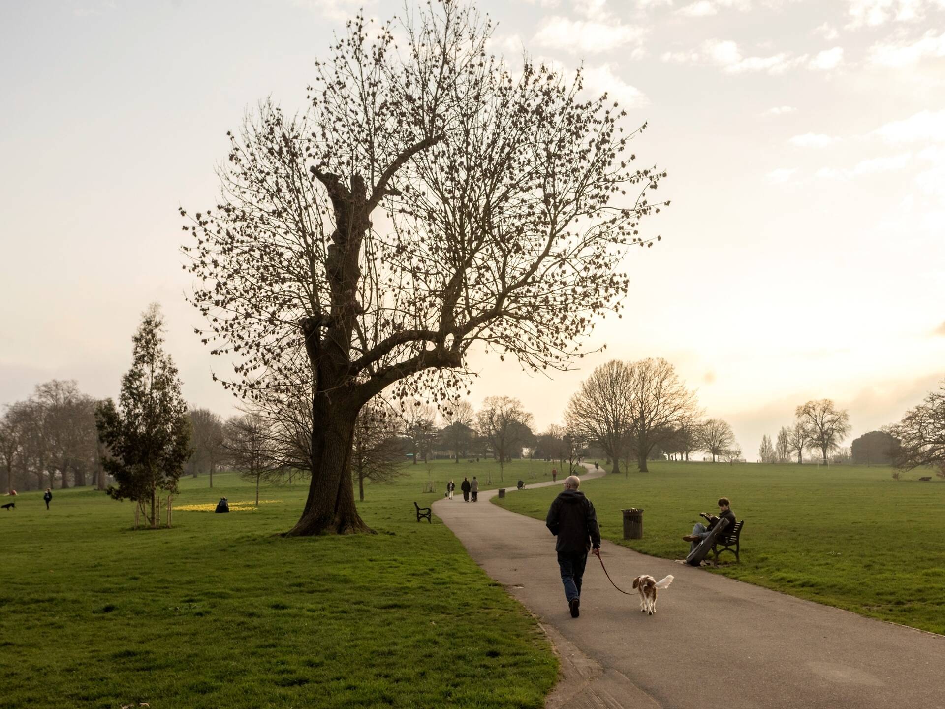 Things to do in London today: the best of London, updated daily