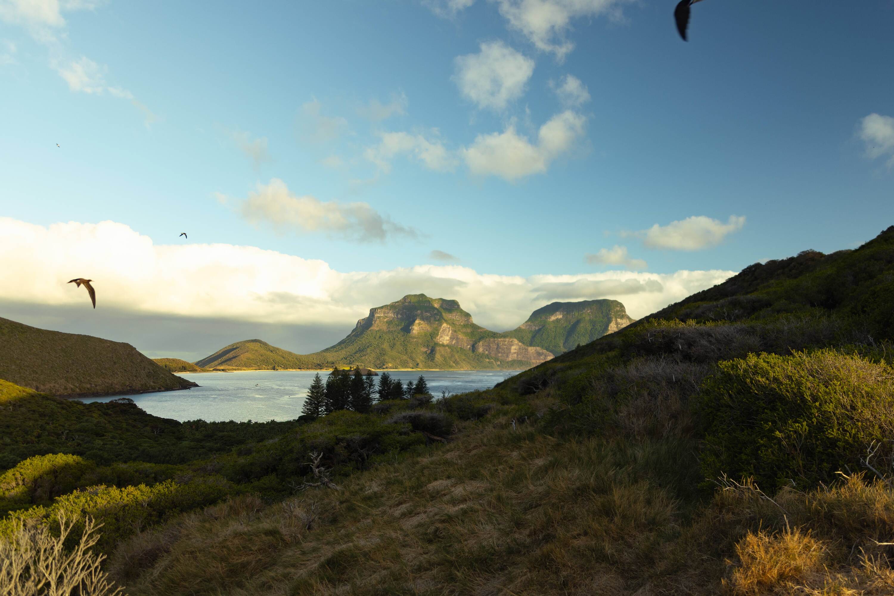 Two remote Australian islands among world's top off-grid destinations