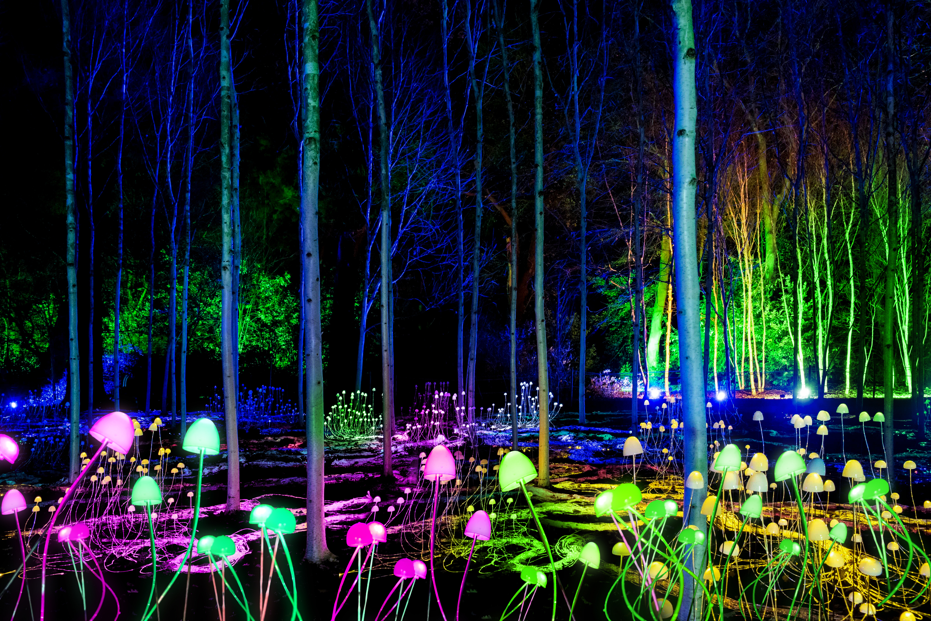 The 7 Best Winter Light Festivals In Australia In 2026
