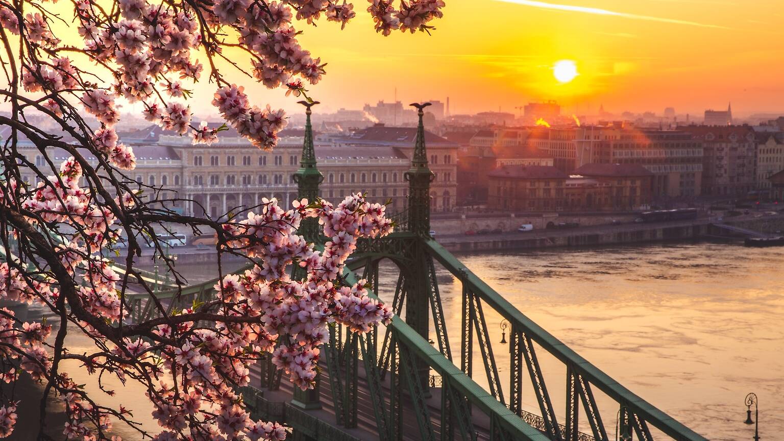 Time Out Budapest 2026: The Best Of The City, By Local Experts
