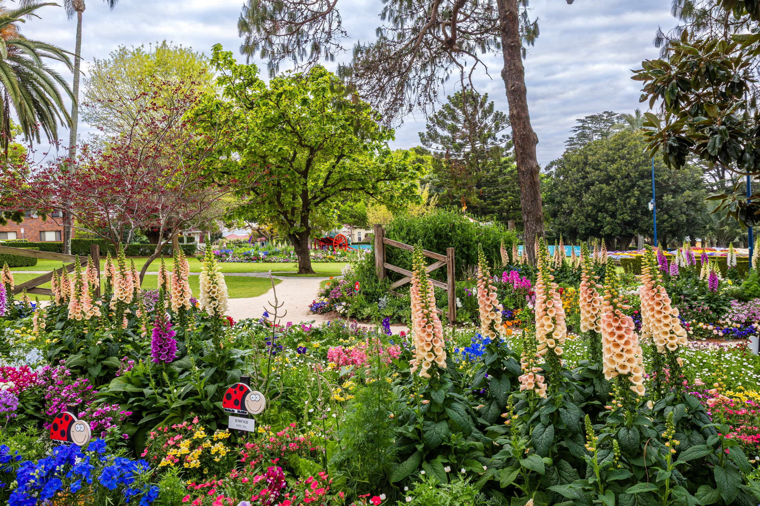 Toowoomba Carnival of Flowers 2026: Dates, Events & More