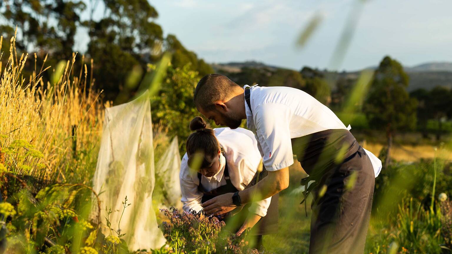 This Australian region named one of world’s best food destinations