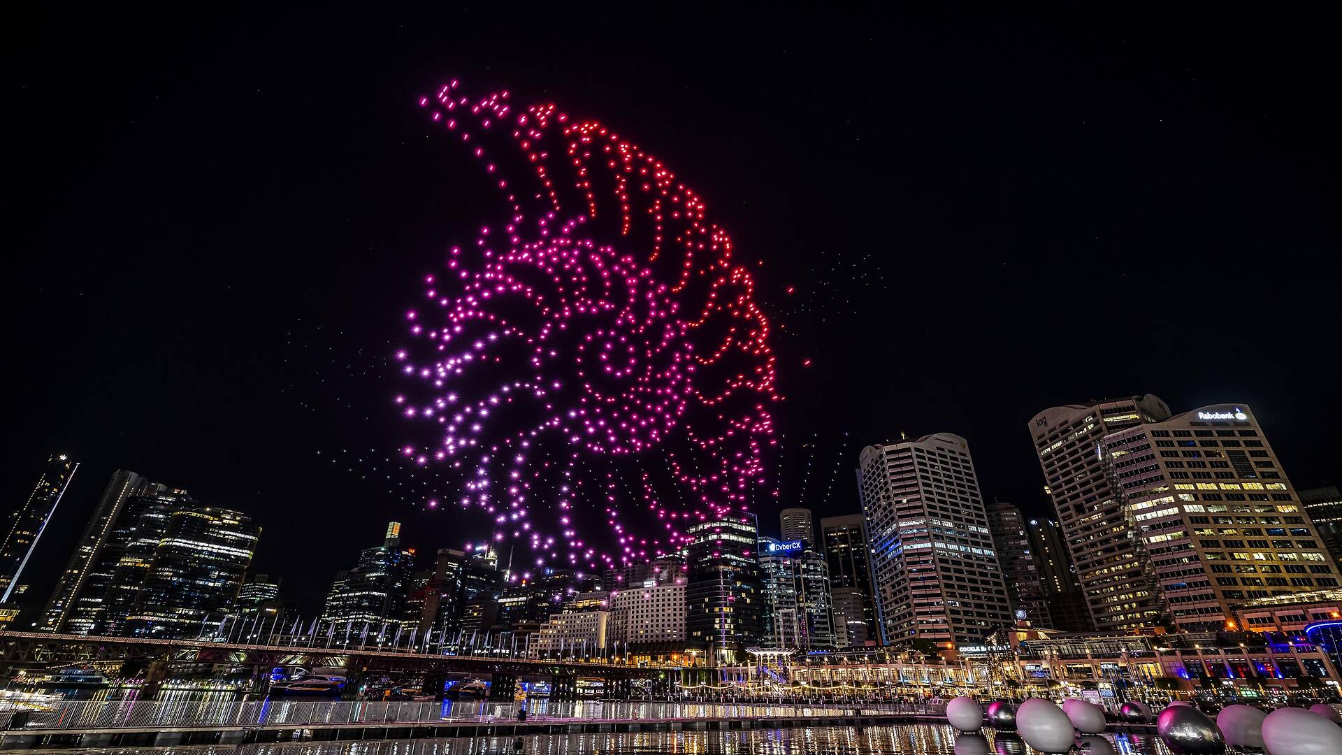 Vivid cancels all drone shows following mid-air technical failure