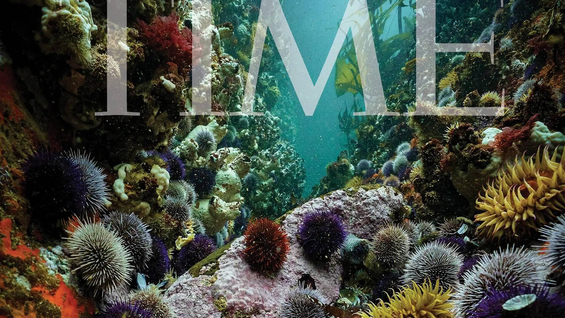 Cape Town’s underwater wonder makes cover of TIME magazine