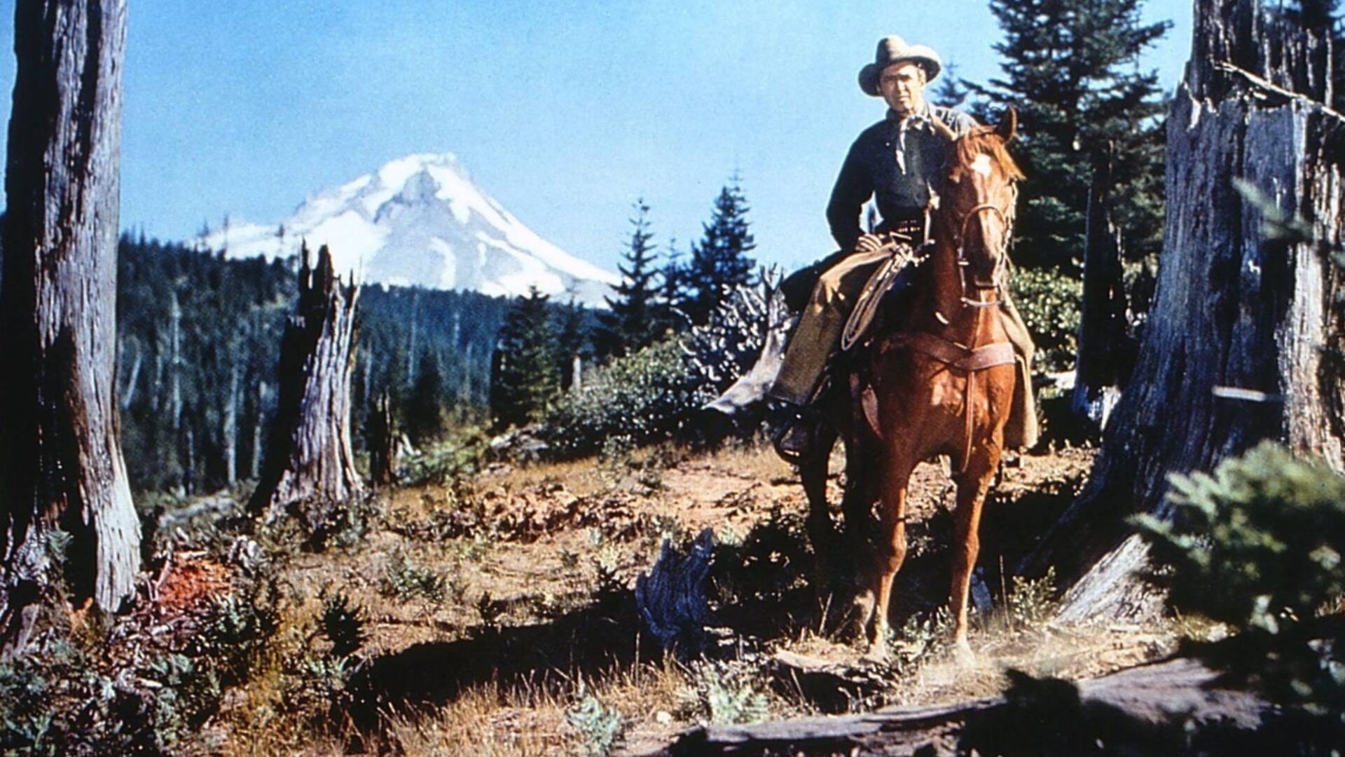 Universal Westerns at MoMA | Things to do in New York