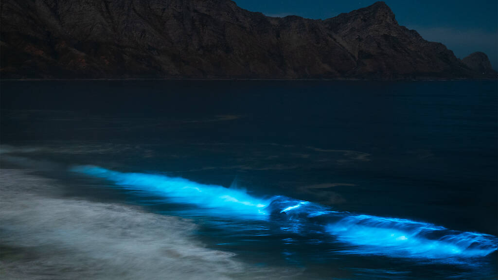 Weird and wonderful things about the ocean