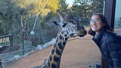 I slept next to giraffes at Australia's best wildlife stay