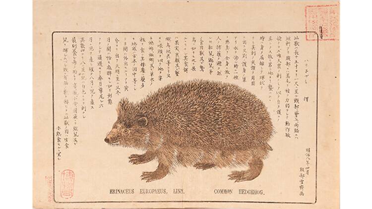 Animals & Monsters: Cute, Scary, and a Little Weird | Ota Memorial ...