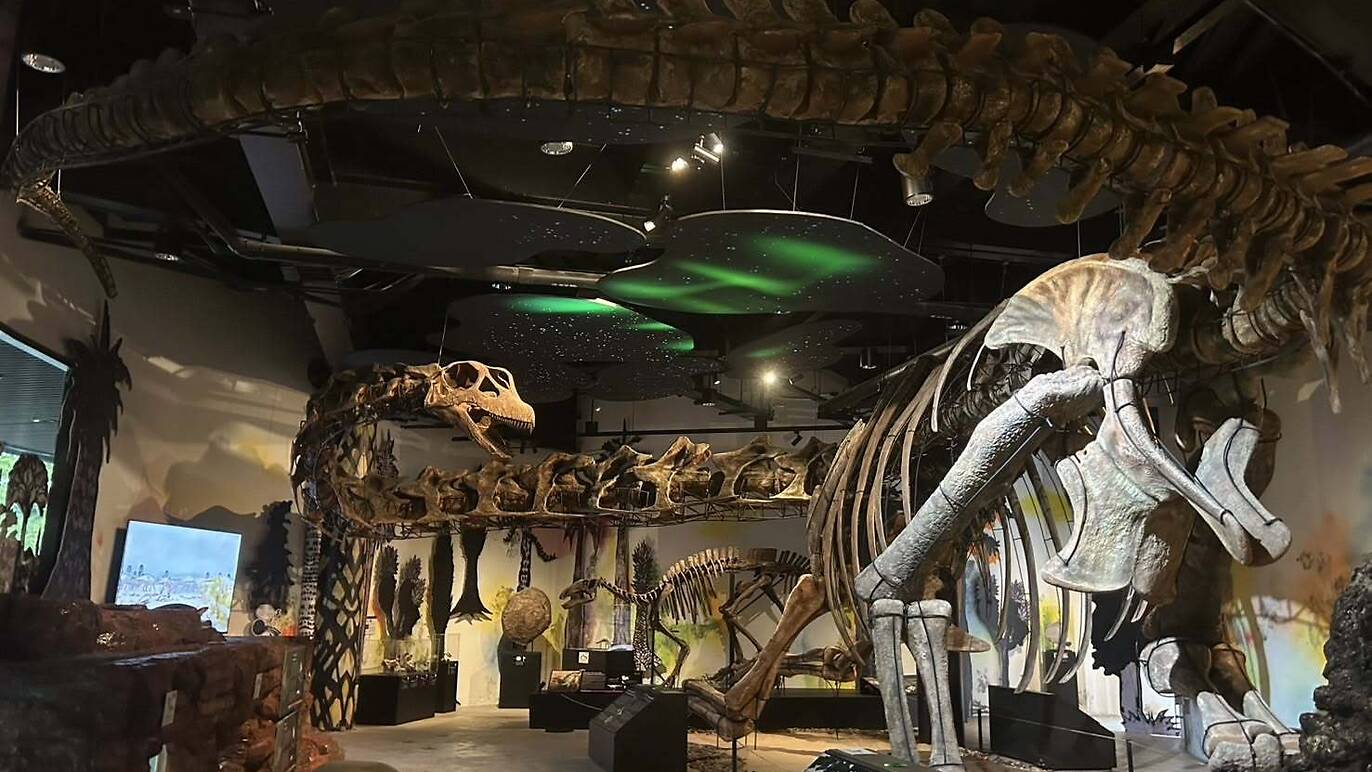 Thainosaur Museum Attractions In Thainosaur Museum Attractions In